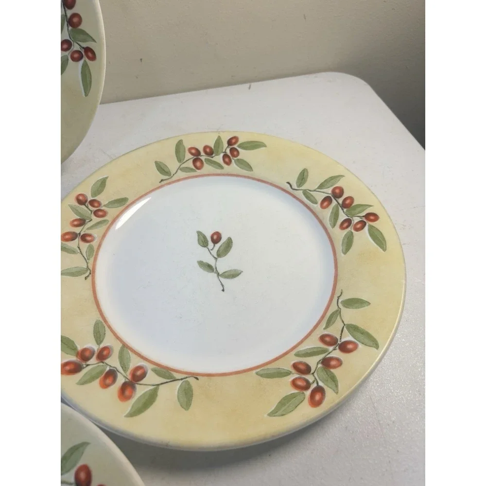 Corelle | Dining | Corelle Ultra Radiance Vitrelle 75 Dinner Plates ...